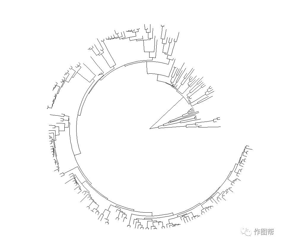R语言|ggtreeExtra包绘制进化树 - 百奥维凡生物
