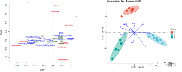 在线分析丨相关性分析——RDA/CCA分析 - 百奥维凡生物