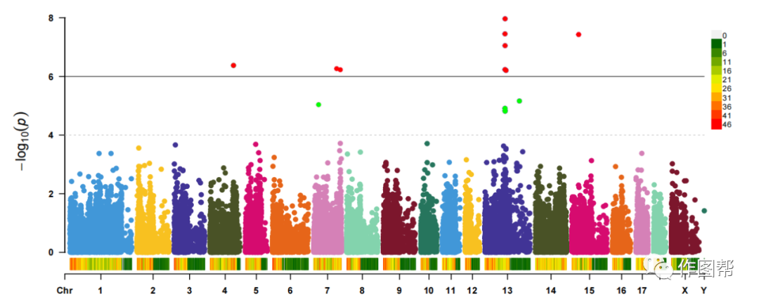 R语言|CMplot包绘制环形曼哈顿图 - 百奥维凡生物